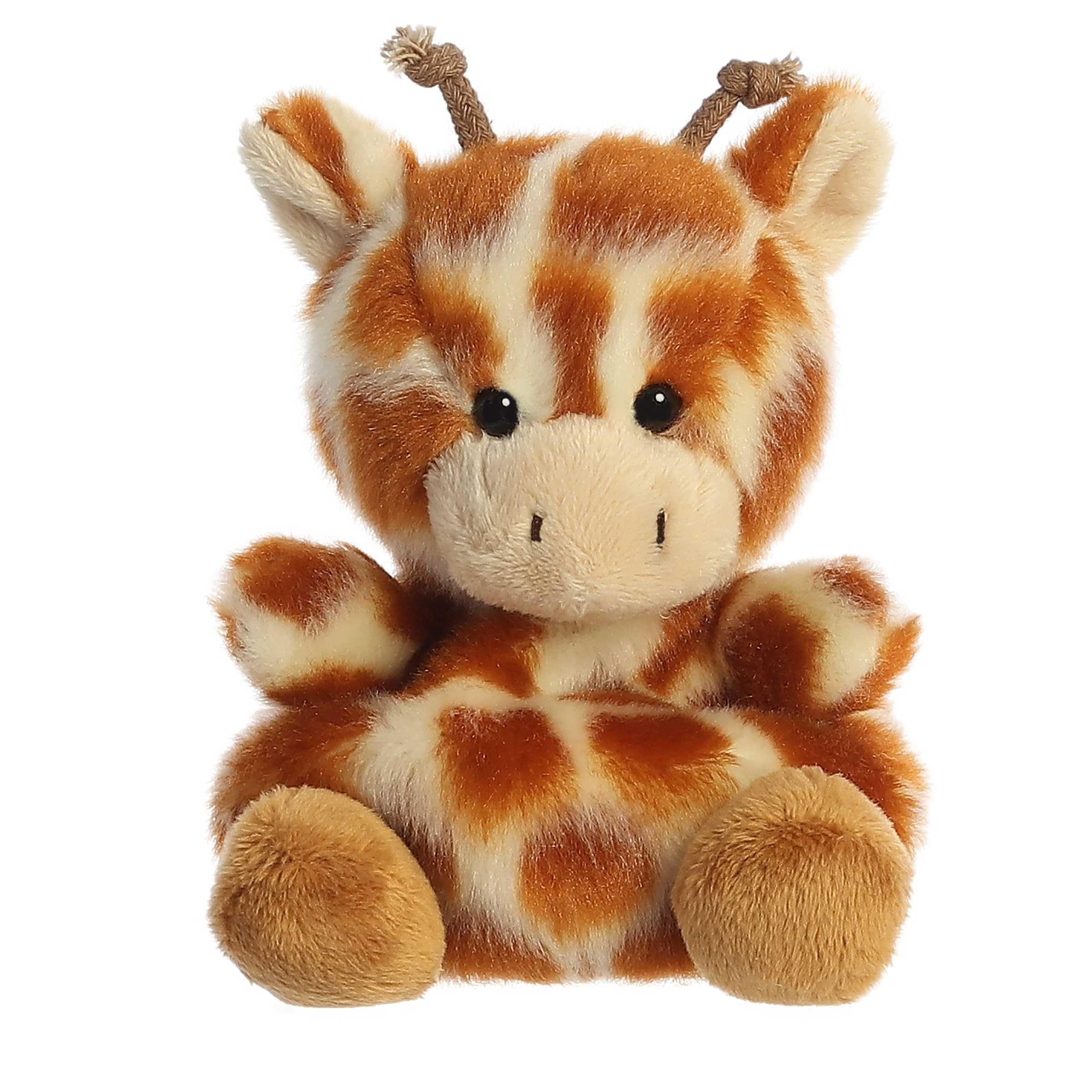 Aurora Wonder World - Your One-Stop Shop for Quality Kids' Toys ...